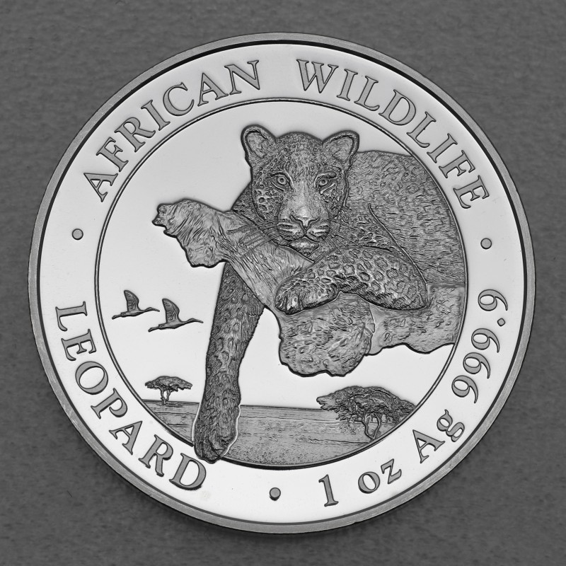 Silbermünze 1oz "Somalia Leopard 2020" African Wildlife Serie kaufen