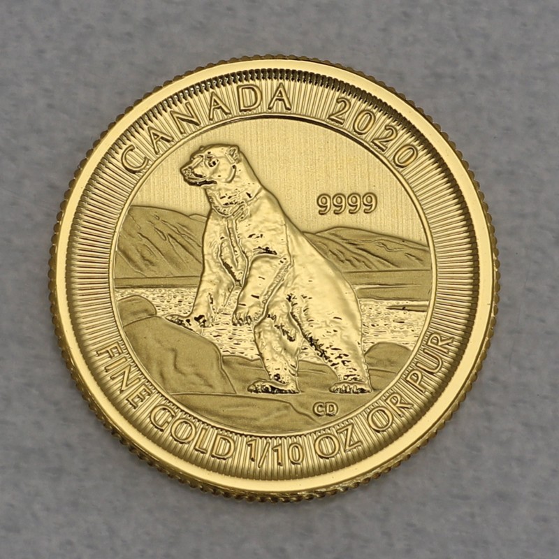 Goldmünze 1/10oz "Polarbär 2020" (Kanada) kaufen
